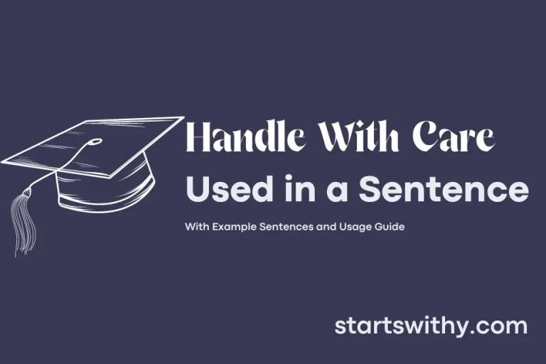 HANDLE WITH CARE in a Sentence Examples: 21 Ways to Use Handle With Care