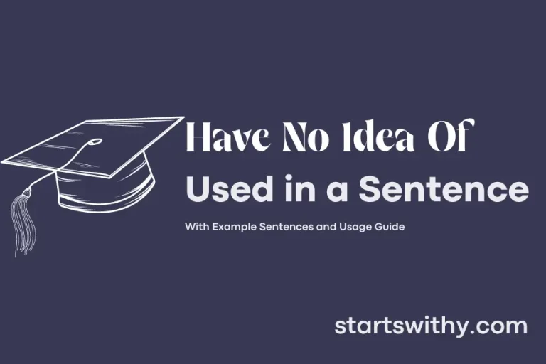 HAVE NO IDEA OF in a Sentence Examples: 21 Ways to Use Have No Idea Of