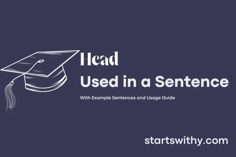HEAD in a Sentence Examples: 21 Ways to Use Head