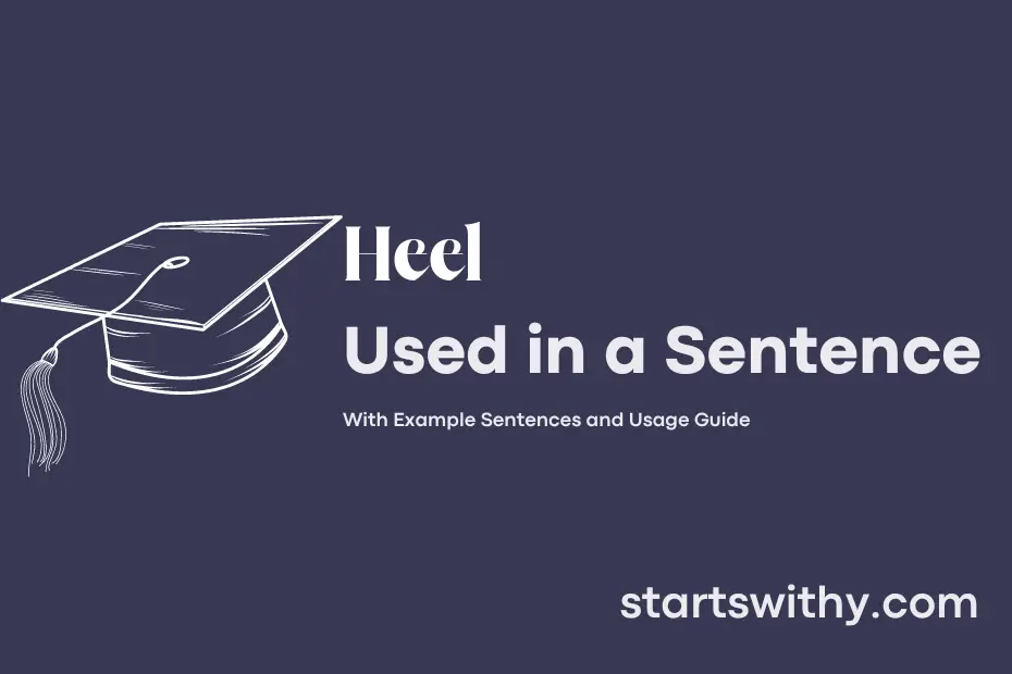 HEEL In A Sentence Examples 21 Ways To Use Heel HEEL In A Sentence Examples 21 Ways To Use Heel