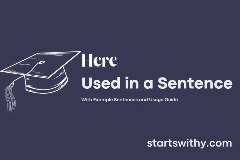 HERE in a Sentence Examples: 21 Ways to Use Here