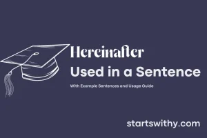 HEREINAFTER in a Sentence Examples: 21 Ways to Use Hereinafter