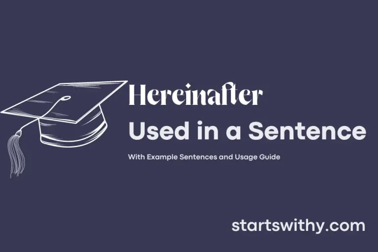 HEREINAFTER in a Sentence Examples: 21 Ways to Use Hereinafter