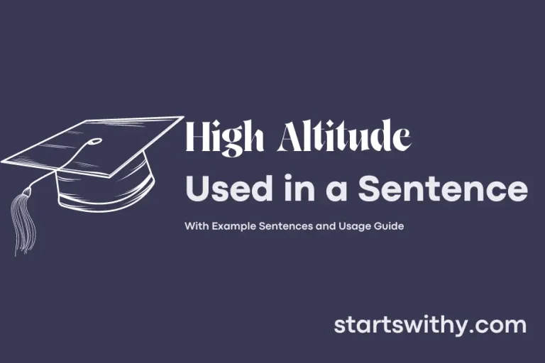 HIGH ALTITUDE in a Sentence Examples: 21 Ways to Use High Altitude