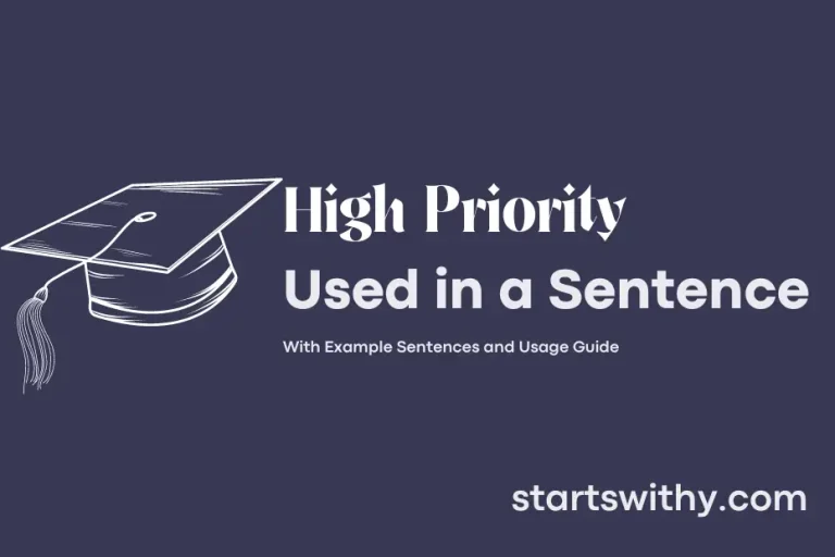 HIGH PRIORITY in a Sentence Examples: 21 Ways to Use High Priority