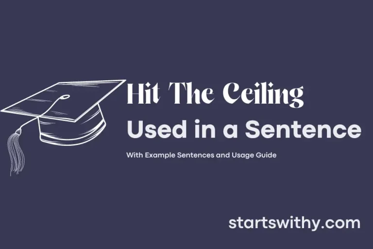HIT THE CEILING in a Sentence Examples: 21 Ways to Use Hit The Ceiling