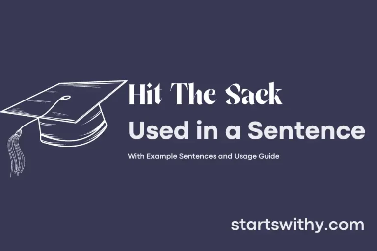 HIT THE SACK in a Sentence Examples: 21 Ways to Use Hit The Sack