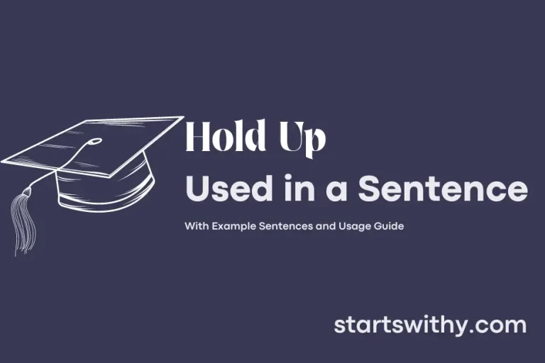 HOLD UP in a Sentence Examples: 21 Ways to Use Hold Up