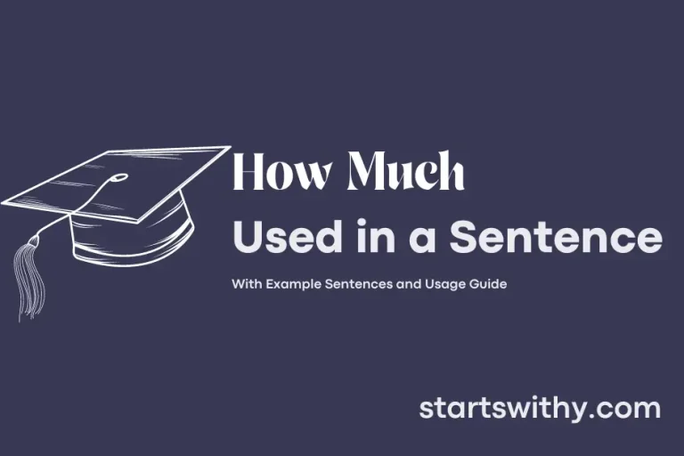 HOW MUCH in a Sentence Examples: 21 Ways to Use How Much