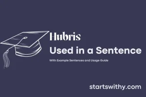 HUBRIS in a Sentence Examples: 21 Ways to Use Hubris