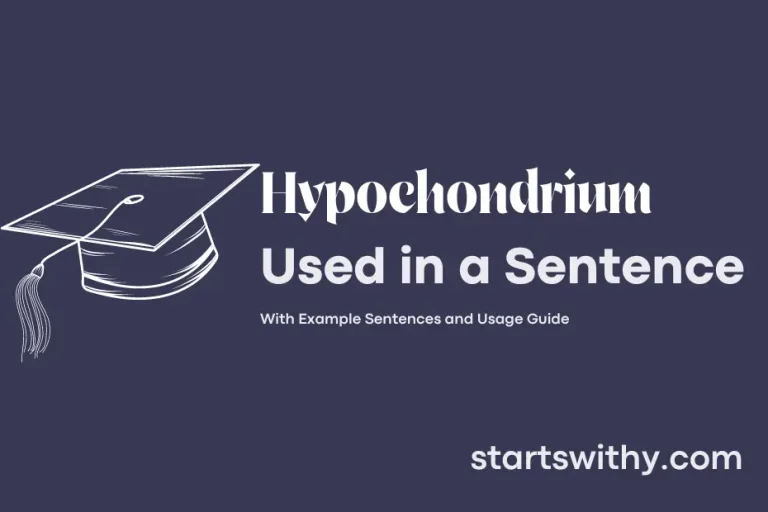 HYPOCHONDRIUM in a Sentence Examples: 21 Ways to Use Hypochondrium