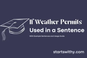 IF WEATHER PERMITS in a Sentence Examples: 21 Ways to Use If Weather ...