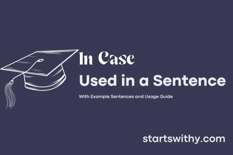 IN CASE in a Sentence Examples: 21 Ways to Use In Case