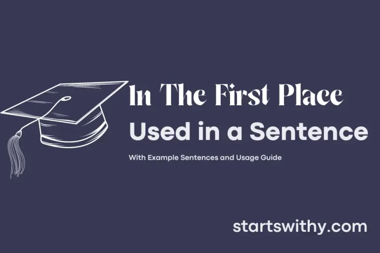 IN THE FIRST PLACE in a Sentence Examples: 21 Ways to Use In The First ...