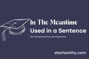 IN THE MEANTIME in a Sentence Examples: 21 Ways to Use In The Meantime