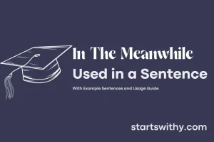 IN THE MEANWHILE in a Sentence Examples: 21 Ways to Use In The Meanwhile
