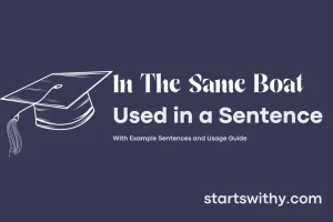 IN THE SAME BOAT in a Sentence Examples: 21 Ways to Use In The Same Boat
