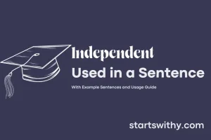 INDEPENDENT in a Sentence Examples: 21 Ways to Use Independent