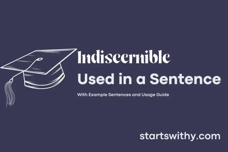 INDISCERNIBLE in a Sentence Examples: 21 Ways to Use Indiscernible