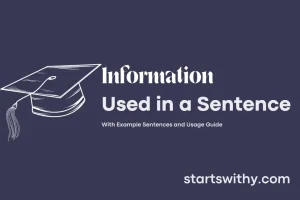 INFORMATION in a Sentence Examples: 21 Ways to Use Information