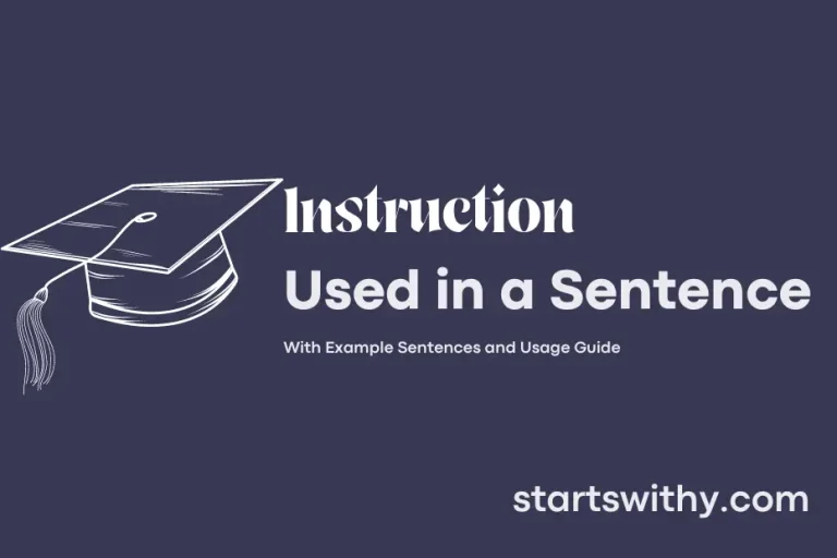 INSTRUCTION in a Sentence Examples: 21 Ways to Use Instruction