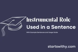 INSTRUMENTAL ROLE in a Sentence Examples: 21 Ways to Use Instrumental Role