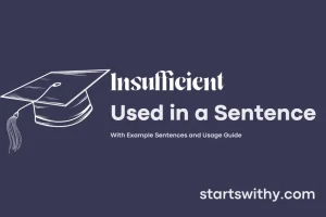 INSUFFICIENT in a Sentence Examples: 21 Ways to Use Insufficient
