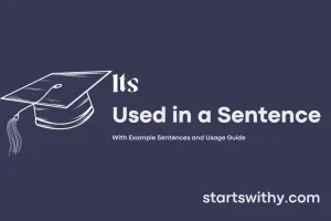 ITS in a Sentence Examples: 21 Ways to Use Its