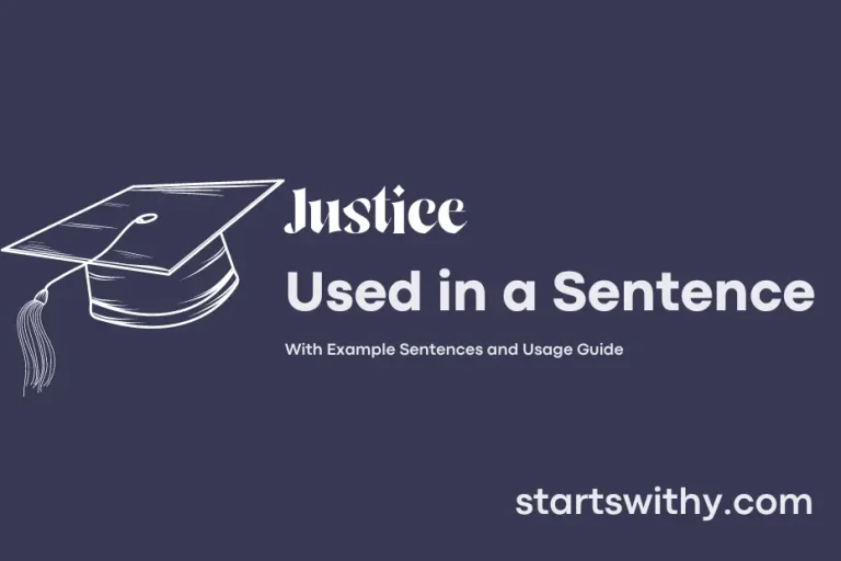 JUSTICE in a Sentence Examples: 21 Ways to Use Justice