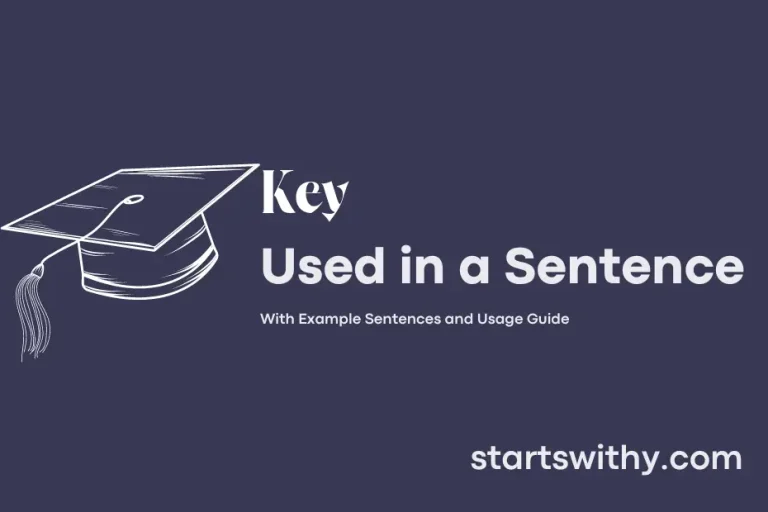 KEY in a Sentence Examples: 21 Ways to Use Key