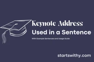 KEYNOTE ADDRESS in a Sentence Examples: 21 Ways to Use Keynote Address