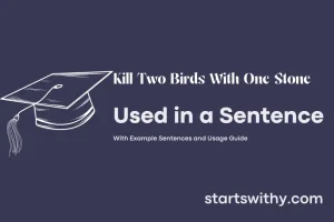 KILL TWO BIRDS WITH ONE STONE in a Sentence Examples: 21 Ways to Use Kill Two Birds With One Stone