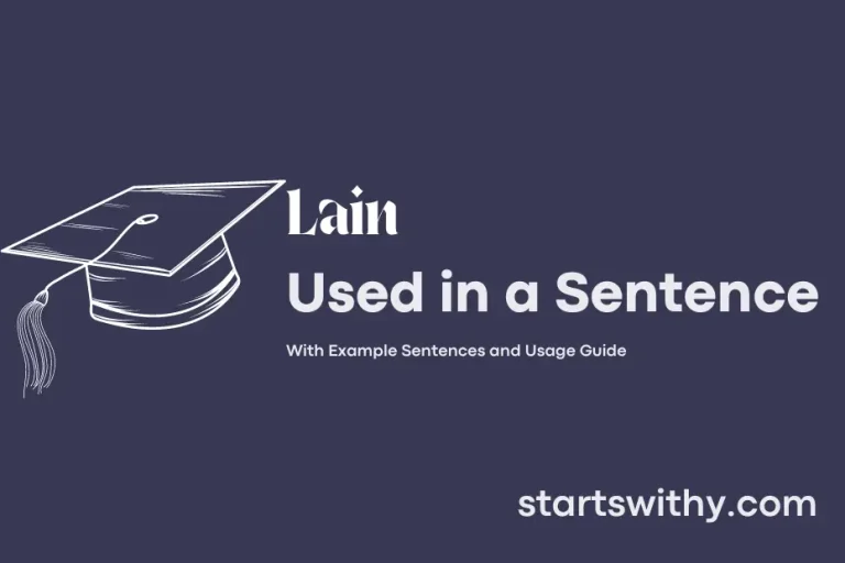 LAIN in a Sentence Examples: 21 Ways to Use Lain