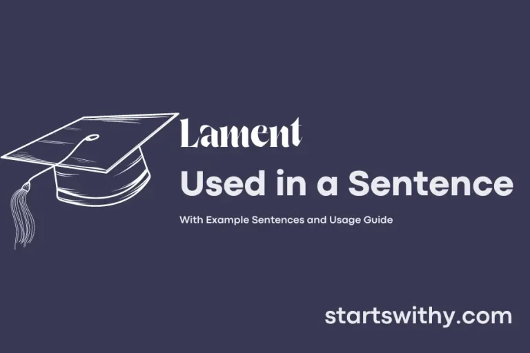 LAMENT in a Sentence Examples: 21 Ways to Use Lament
