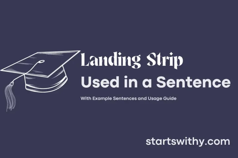 LANDING STRIP in a Sentence Examples: 21 Ways to Use Landing Strip