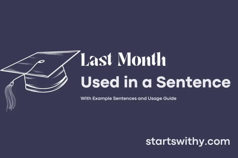 LAST MONTH in a Sentence Examples: 21 Ways to Use Last Month