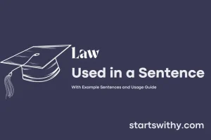 LAW in a Sentence Examples: 21 Ways to Use Law