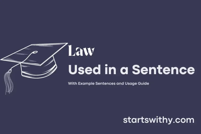 LAW in a Sentence Examples: 21 Ways to Use Law