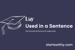 LAY in a Sentence Examples: 21 Ways to Use Lay