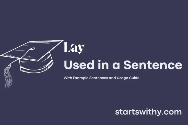 LAY in a Sentence Examples: 21 Ways to Use Lay