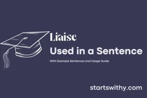LIAISE in a Sentence Examples: 21 Ways to Use Liaise