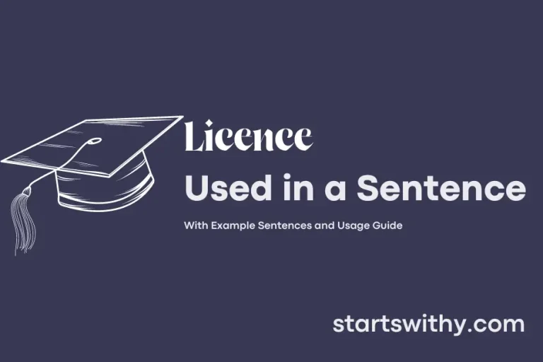 LICENCE in a Sentence Examples: 21 Ways to Use Licence
