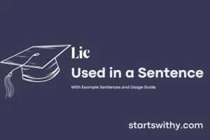 LIE in a Sentence Examples: 21 Ways to Use Lie