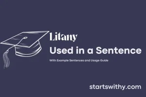 LITANY in a Sentence Examples: 21 Ways to Use Litany