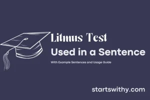 LITMUS TEST in a Sentence Examples: 21 Ways to Use Litmus Test