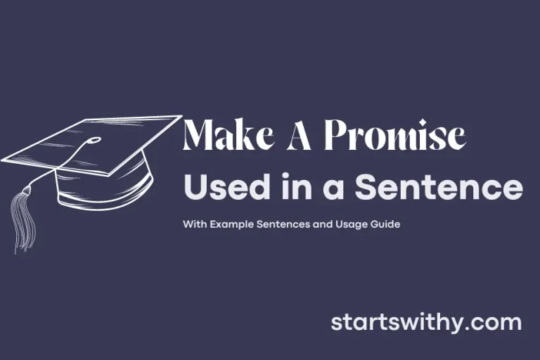 MAKE A PROMISE in a Sentence Examples: 21 Ways to Use Make A Promise