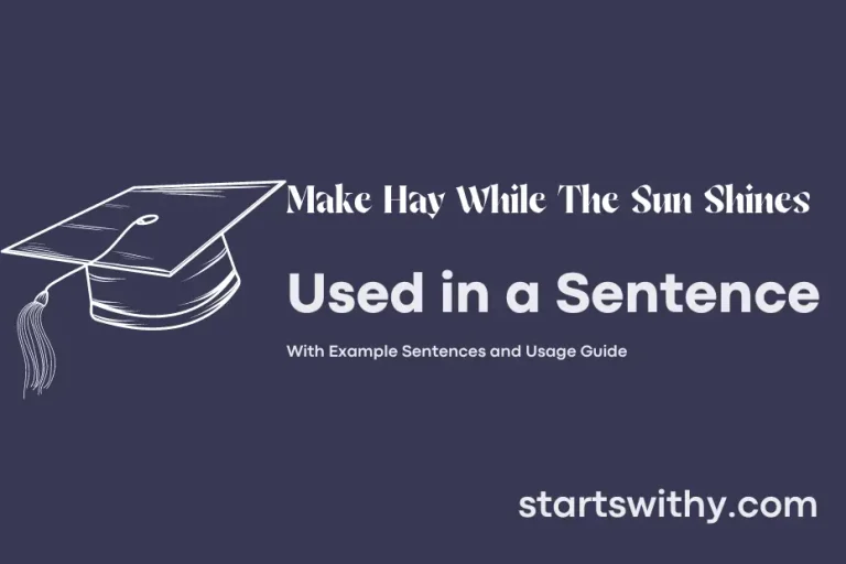 MAKE HAY WHILE THE SUN SHINES in a Sentence Examples: 21 Ways to Use ...