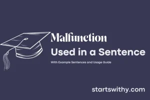 MALFUNCTION in a Sentence Examples: 21 Ways to Use Malfunction