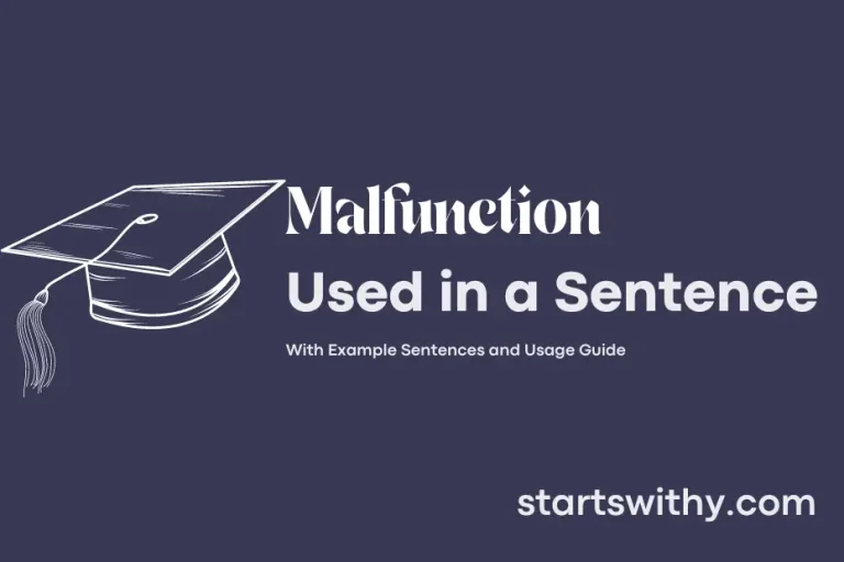 MALFUNCTION in a Sentence Examples: 21 Ways to Use Malfunction