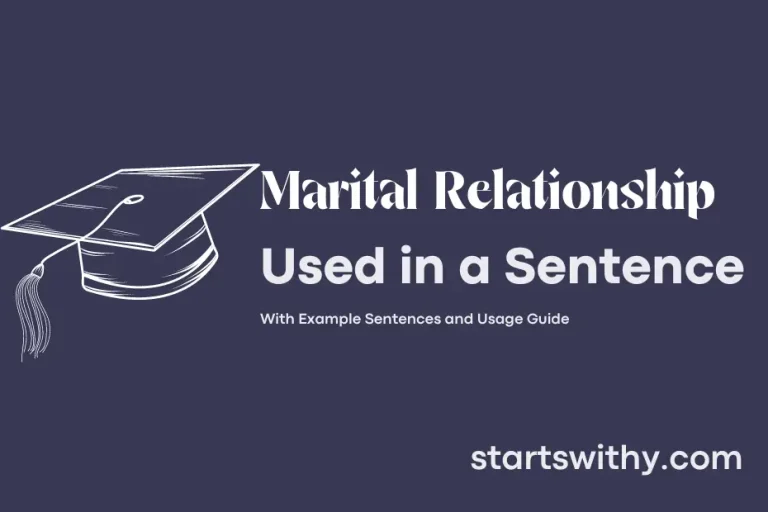 MARITAL RELATIONSHIP in a Sentence Examples: 21 Ways to Use Marital ...